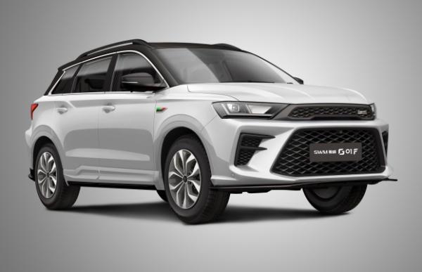 SWM G01 bei EU-MAYER.de