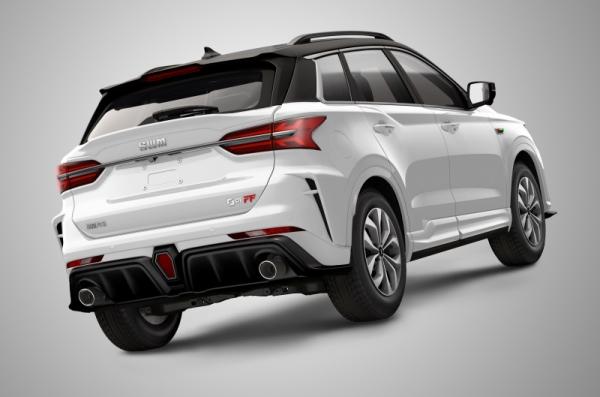 SWM G01 bei EU-MAYER.de