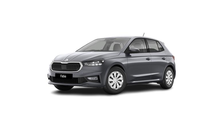 Skoda Fabia Selection 1.0 TSI 5-Gang Benzin Graphite-Grau Metallic in ...