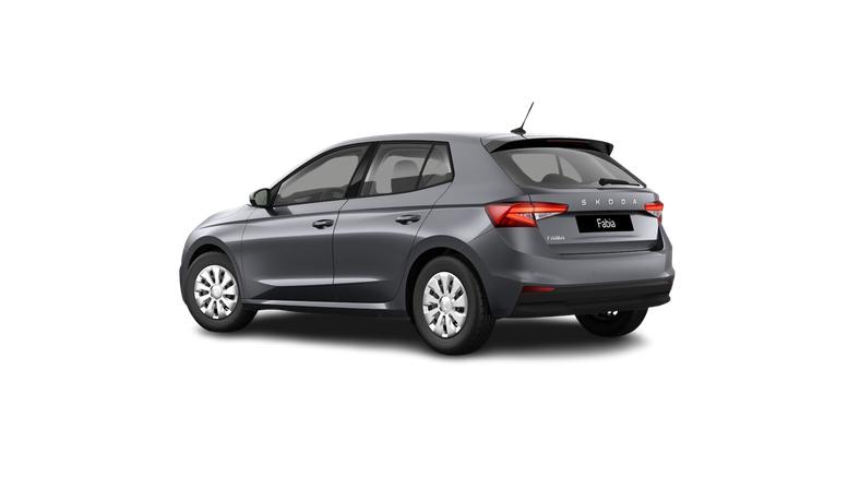 Skoda Fabia Selection 1.0 TSI 5-Gang Benzin Graphite-Grau Metallic in ...