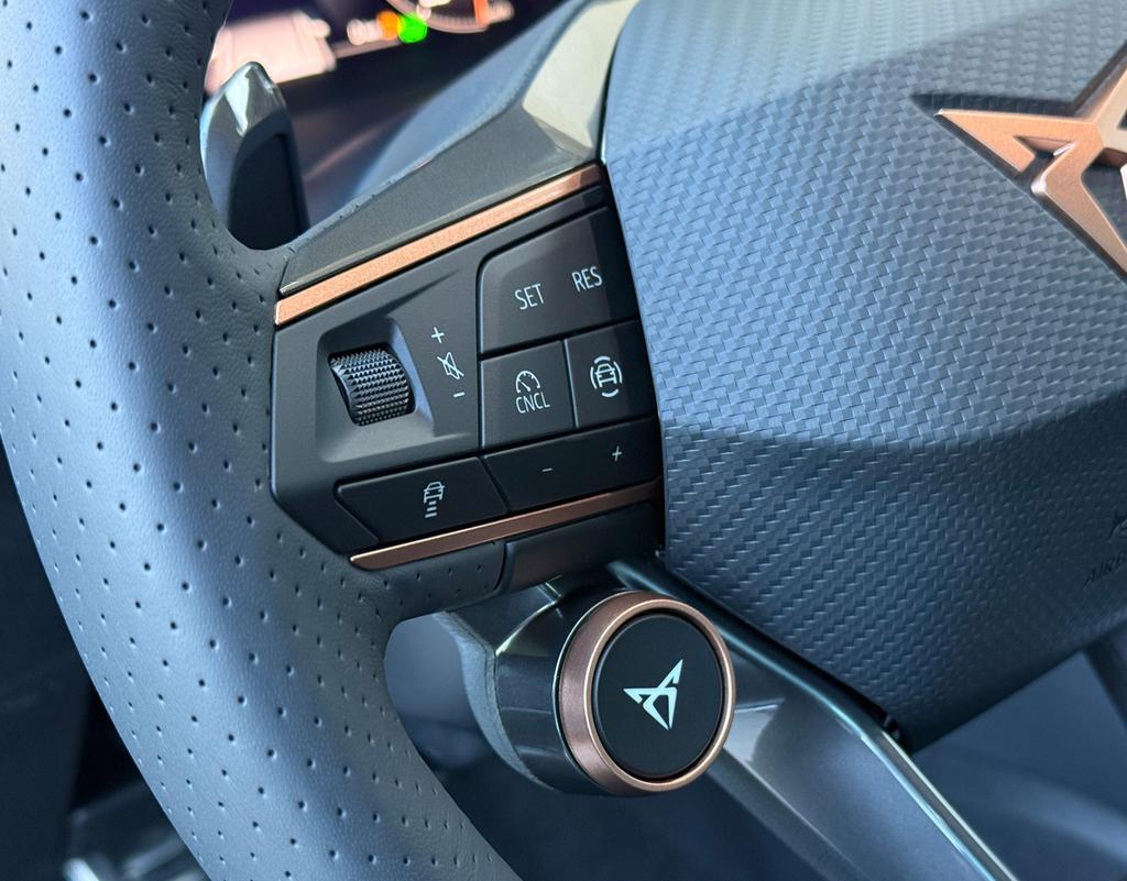 Cupra Formentor VZ 2.0 TSI 333 DSG 4Drive (Lager) LED/PANO/WINTER/EDGE ...